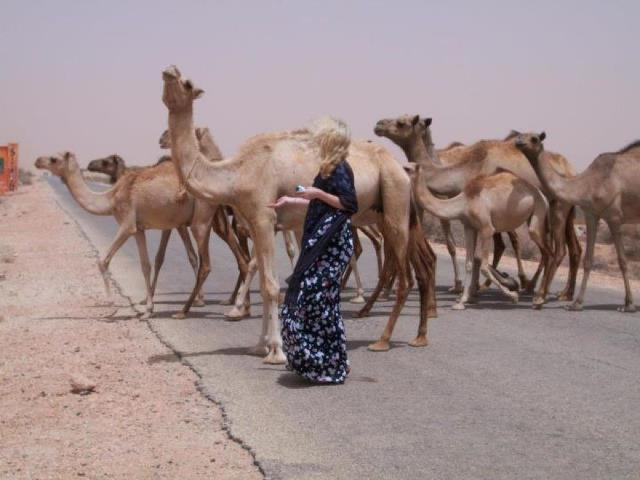 The Somali Dir Clan's History: Codka Beesha Direed: GABAR CADAAN OO ...